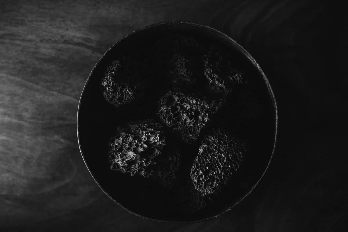 007 | MAD ET LEN – CURRICULUM