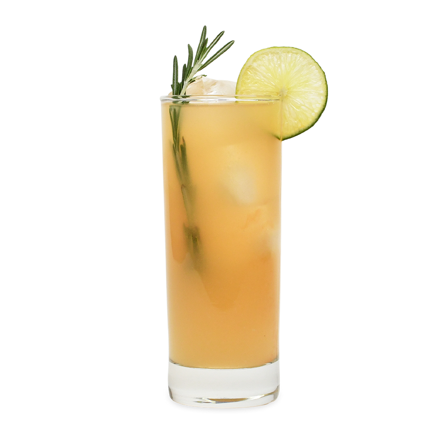 COCKTAIL KINGDOM - BUSHWELL COLLINS GLASS – CURRICULUM